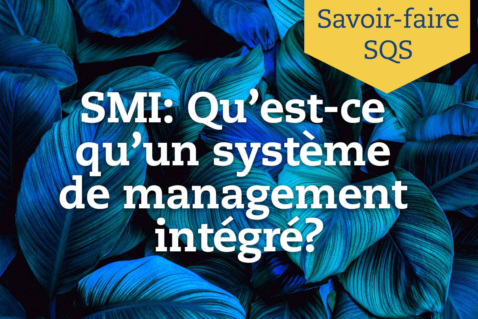 ISO 14001:2015 – Signification, exigences et chapitres | SQS